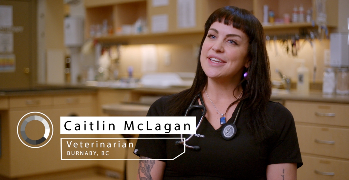 Presenting Nine New Career Trek Videos | WorkBC