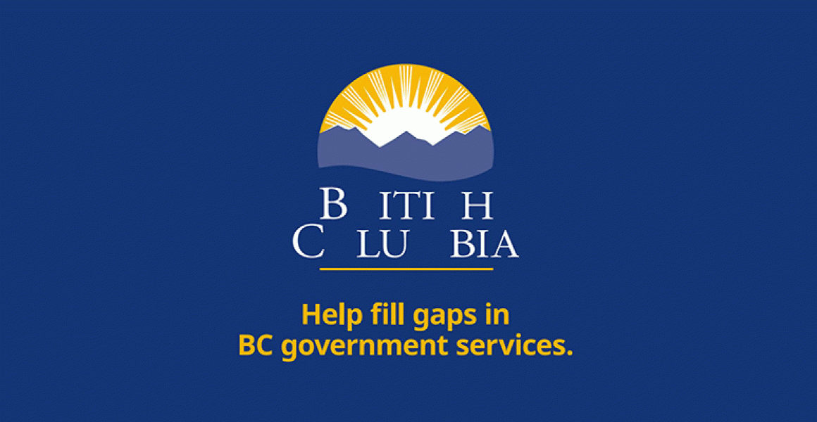 Take the BC Demographic Survey to Help Improve Government Services | WorkBC