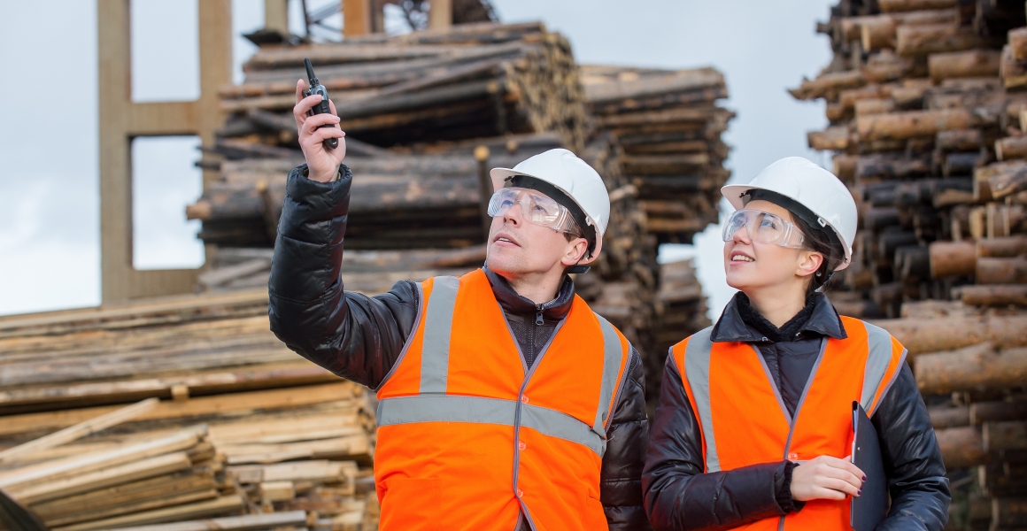 Forestry professionals | WorkBC